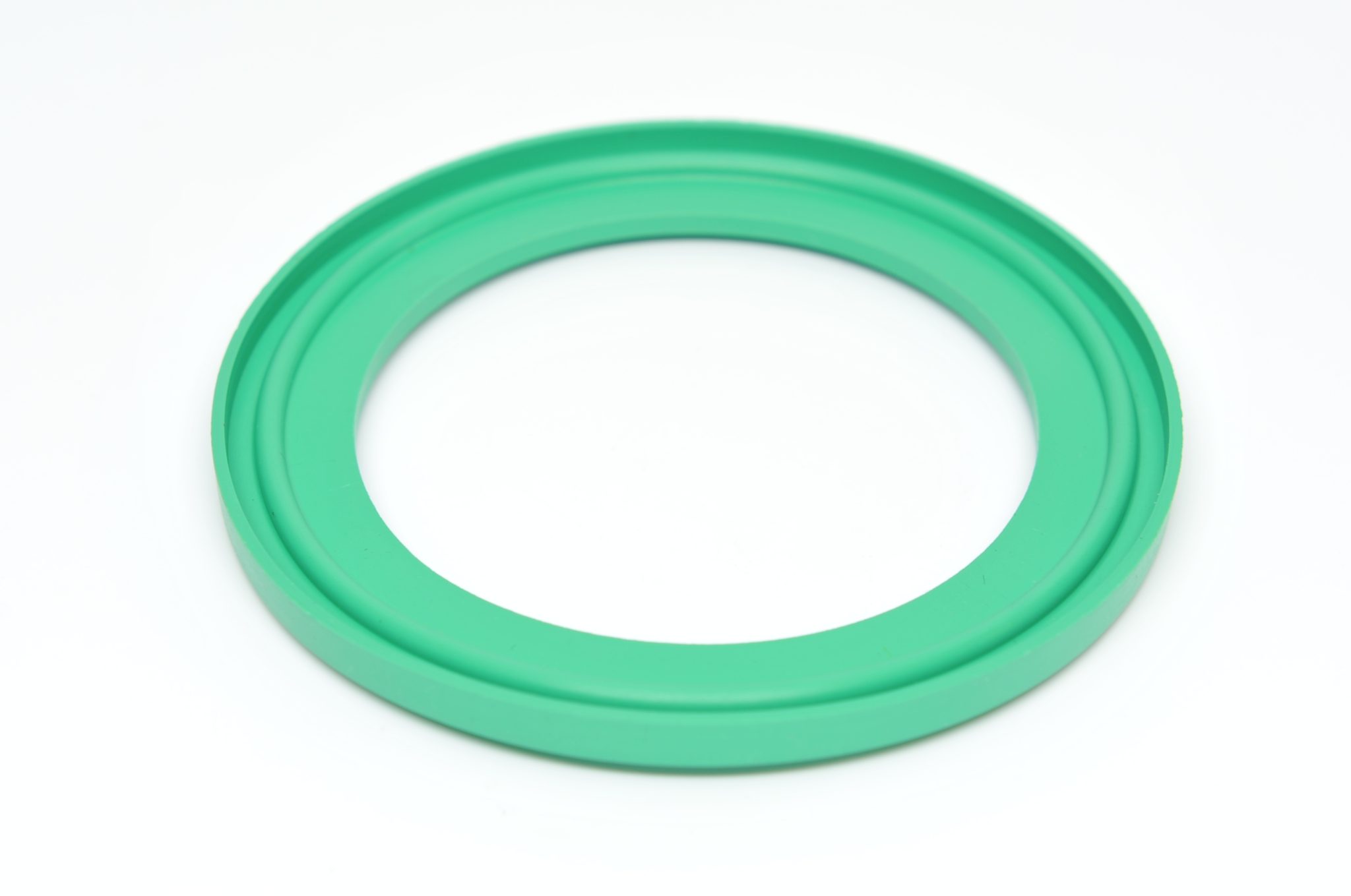 FKM Flanged Gasket DN50 | Root Sciences
