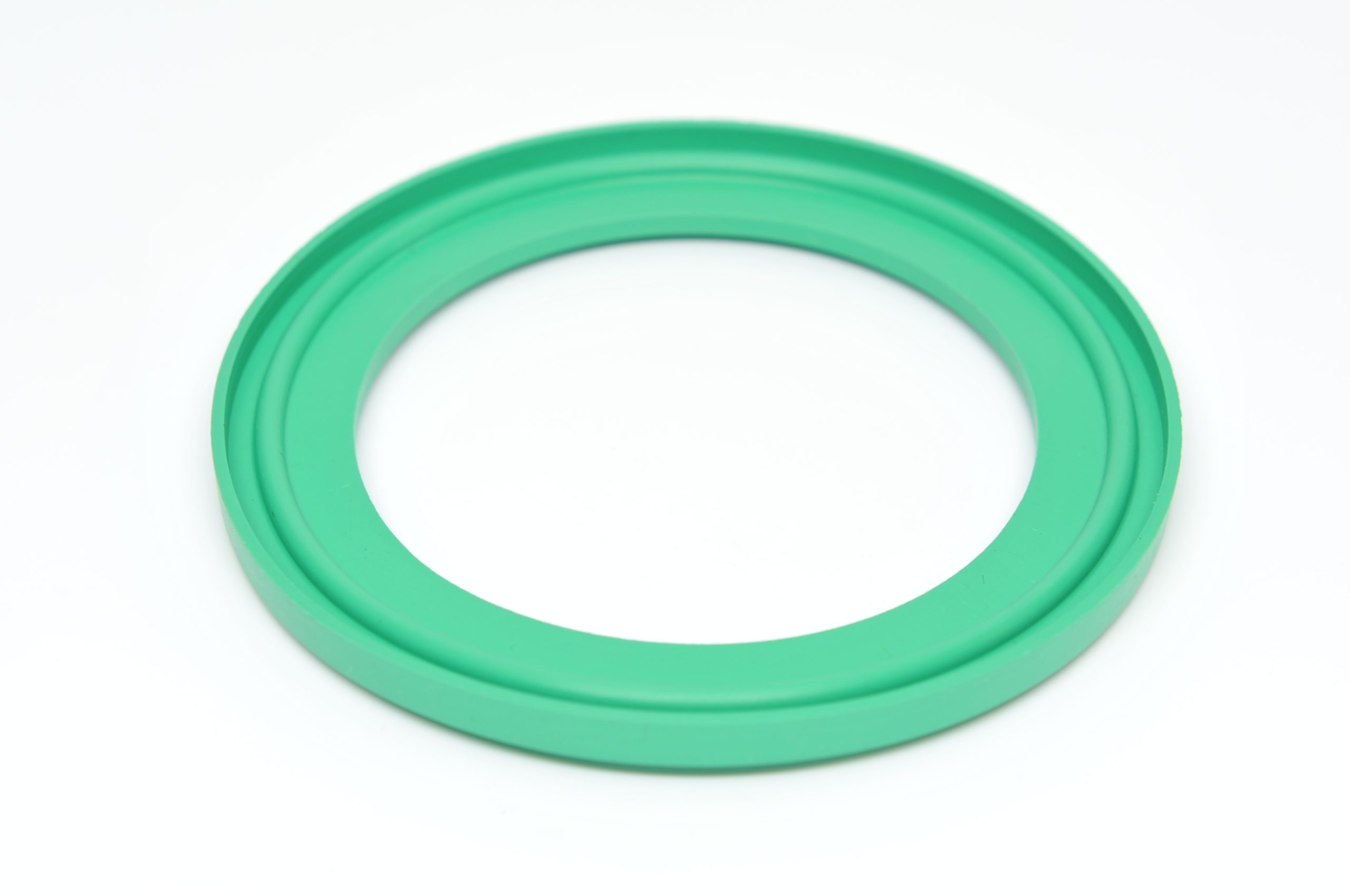 FKM Flanged Gasket DN50 | Root Sciences