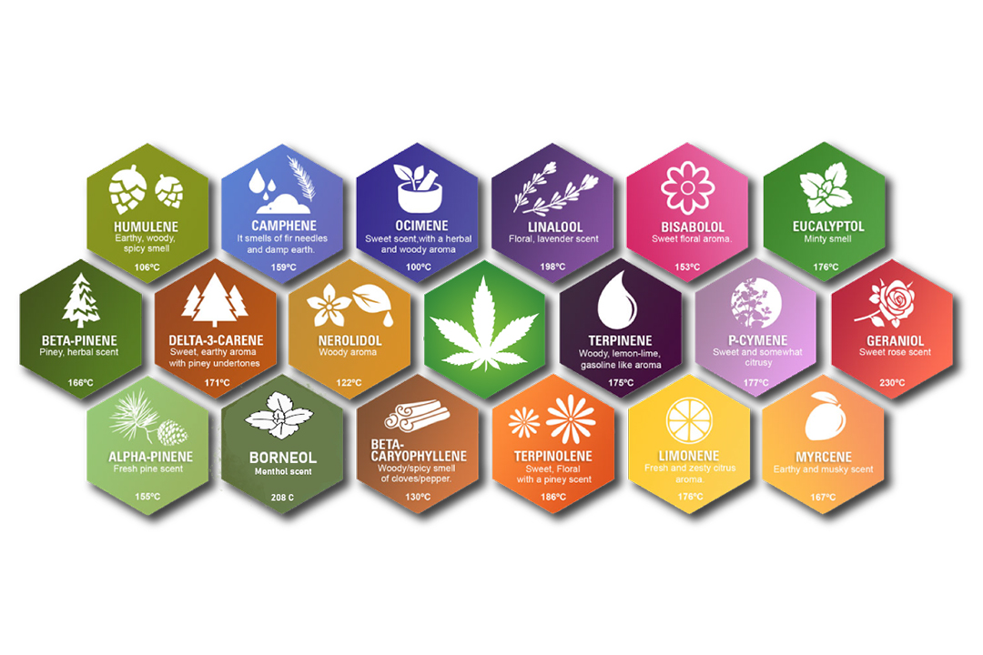 Terpene Extraction | Root Sciences